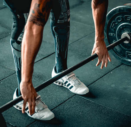 Fundamental weight training movements - Metabolic Fitness